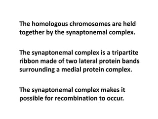 Meiosis | PPTX