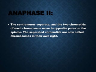 Meiosis | PPTX
