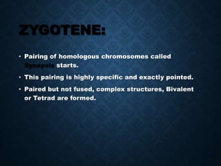 Meiosis | PPTX