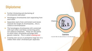 Meiosis... | PPTX | Biological Sciences | Science