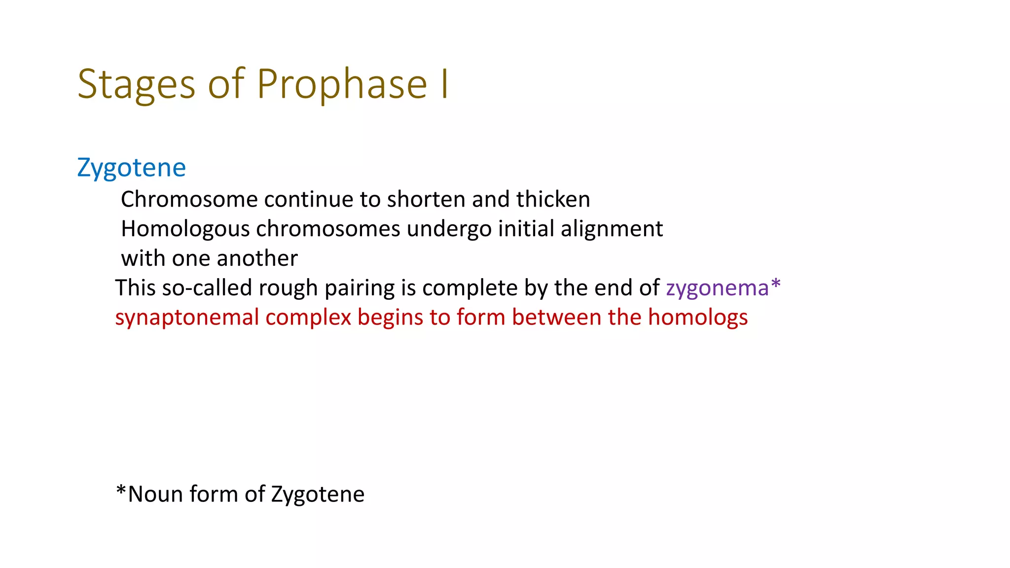 Meiosis | PPT