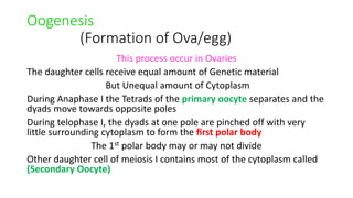 Meiosis | PPTX