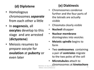 Meiosis by Dr. Basil Tumaini | PPTX | Infertility | Reproductive Health