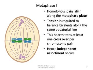 Meiosis by Dr. Basil Tumaini | PPTX | Infertility | Reproductive Health