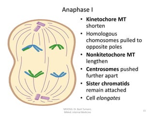 Meiosis by Dr. Basil Tumaini | PPTX