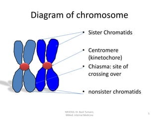 Meiosis by Dr. Basil Tumaini | PPTX