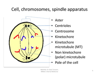 Meiosis by Dr. Basil Tumaini | PPTX