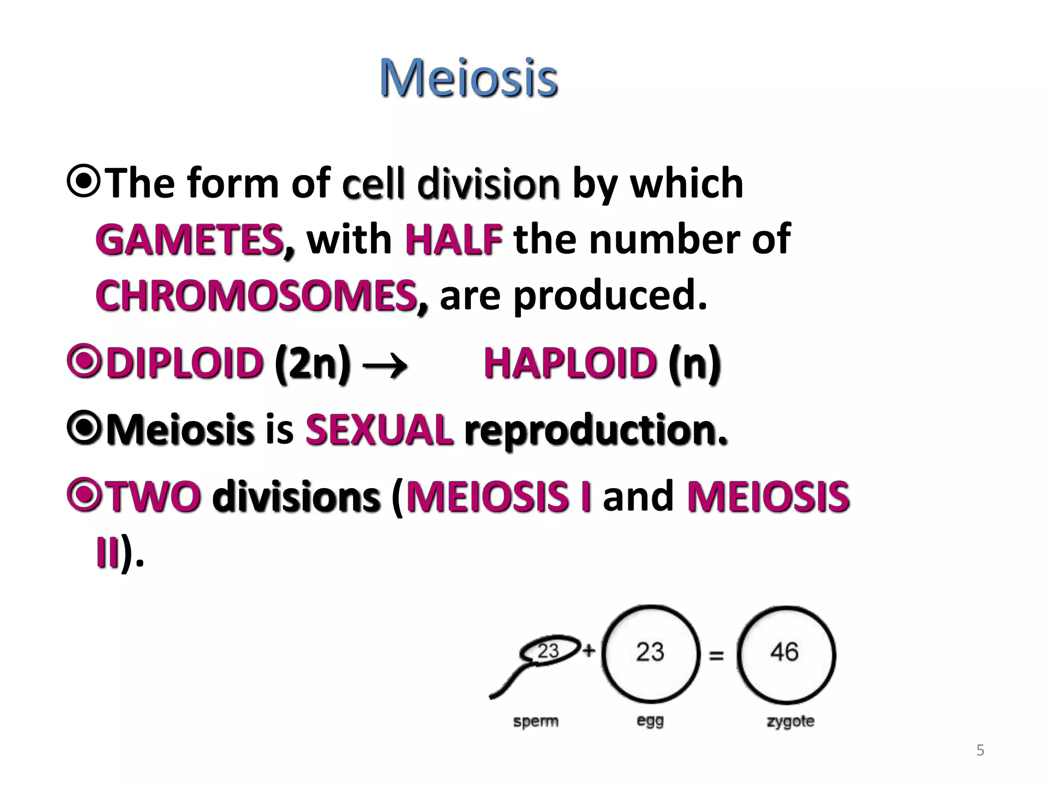Meiosis | PPTX