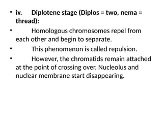 meiosis and its role in gametes formation | PPT