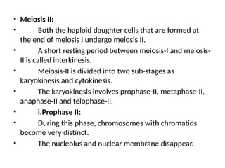 meiosis and its role in gametes formation | PPT