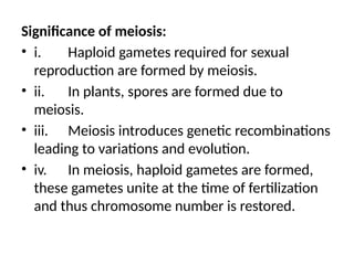meiosis and its role in gametes formation | PPT