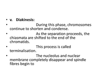 Meiosis | PPTX