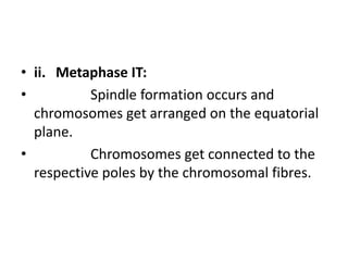 Meiosis | PPTX