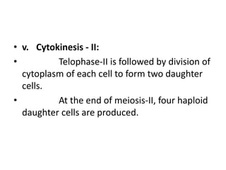 Meiosis | PPTX