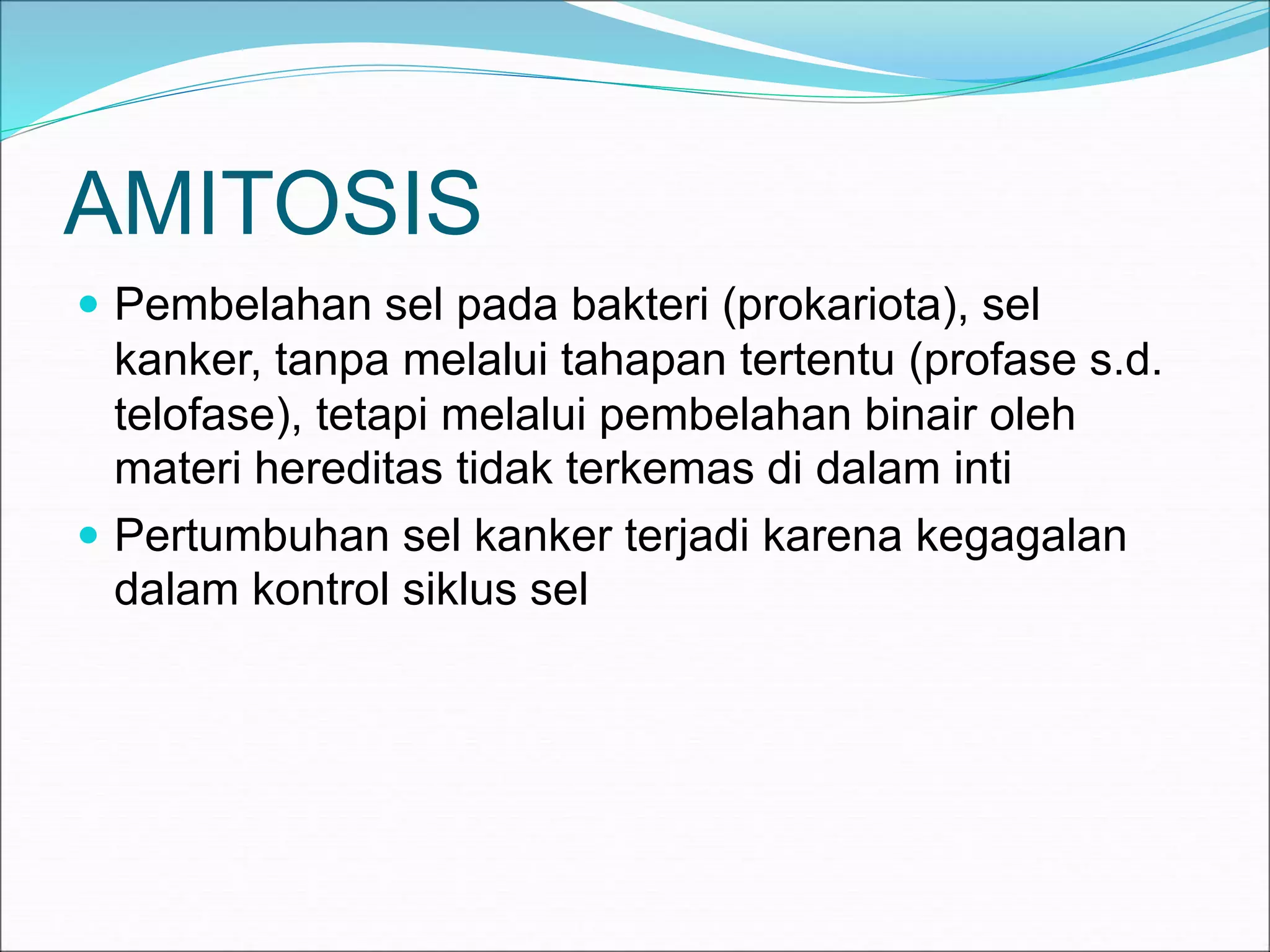 Materi Kimia Dasar Meiosis | PPT