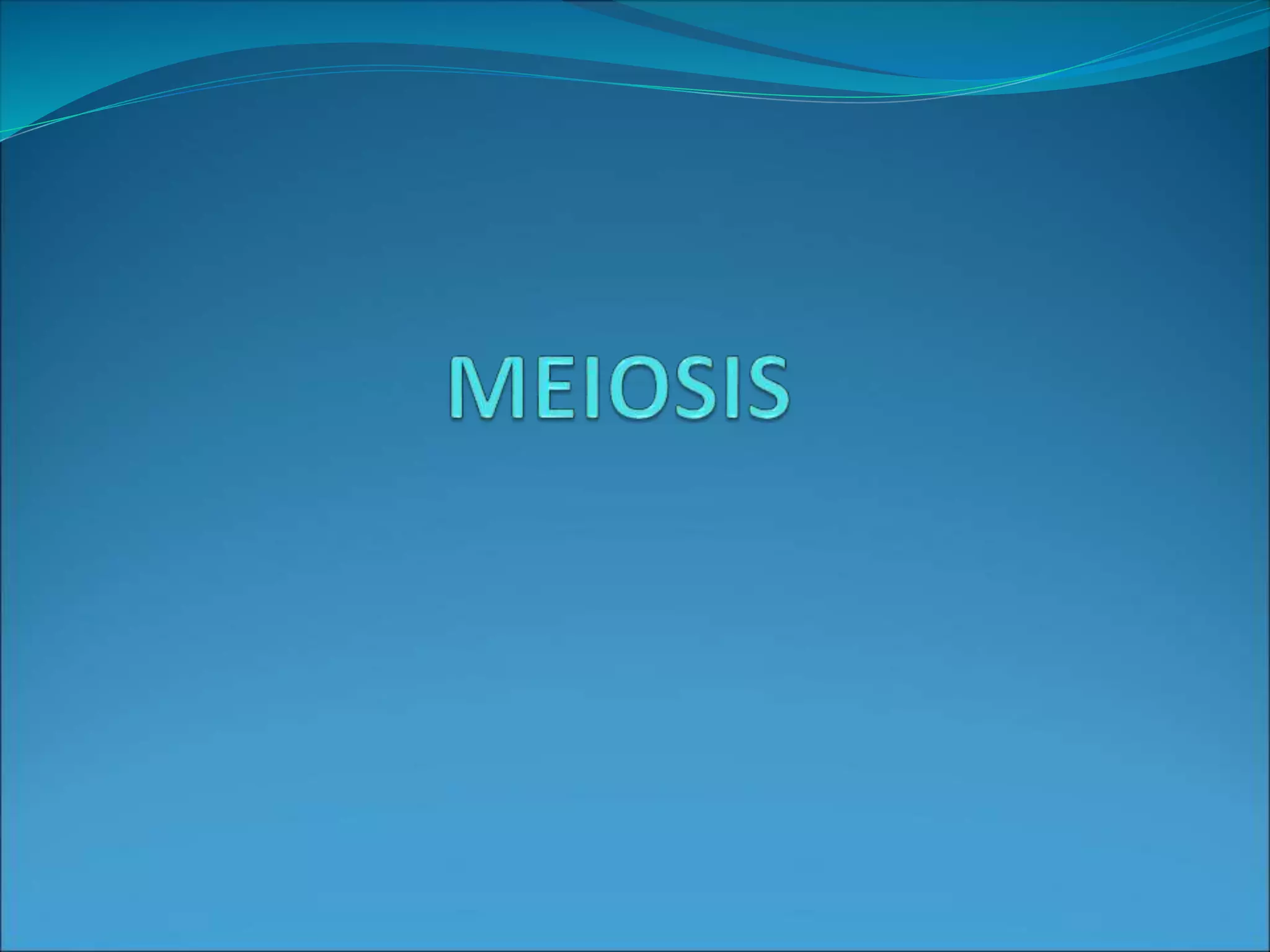 Materi Kimia Dasar Meiosis | PPT