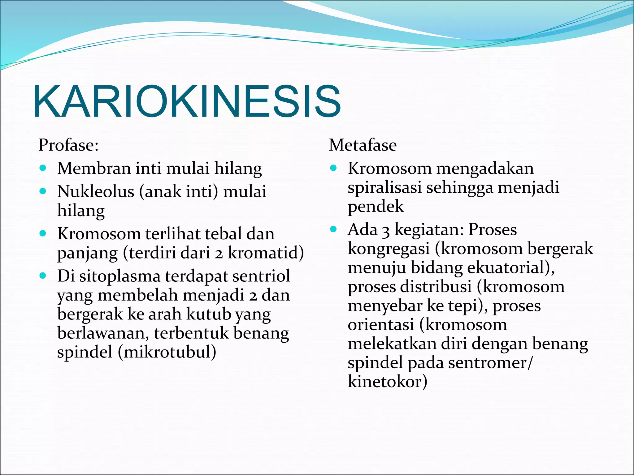 Materi Kimia Dasar Meiosis | PPT