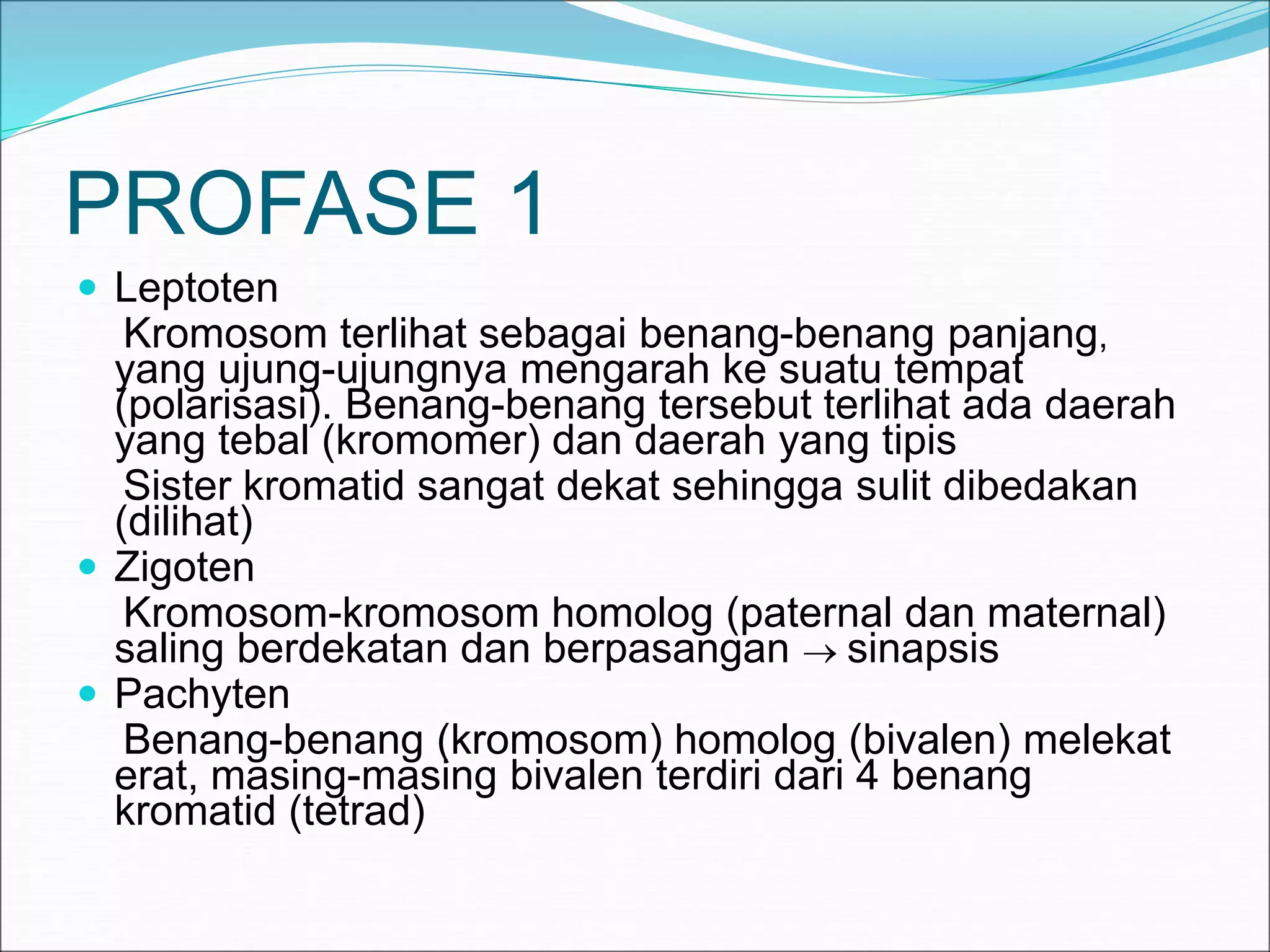 Materi Kimia Dasar Meiosis | PPT