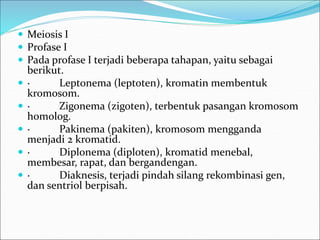 Materi Kimia Dasar Meiosis | PPT