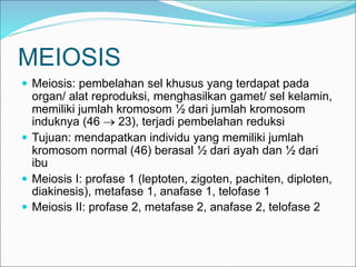 Materi Kimia Dasar Meiosis | PPT
