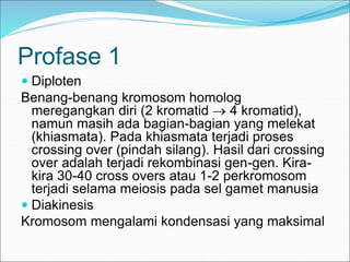 Materi Kimia Dasar Meiosis | PPT