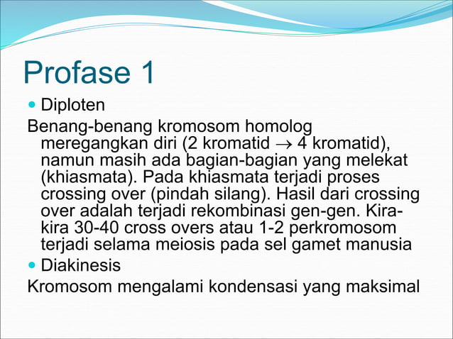 Materi Kimia Dasar Meiosis | PPT