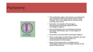 Meiosis | PPT