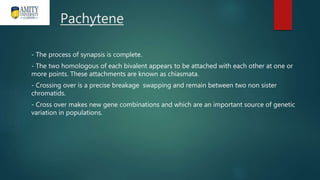 Meiosis | PPTX | Infertility | Reproductive Health