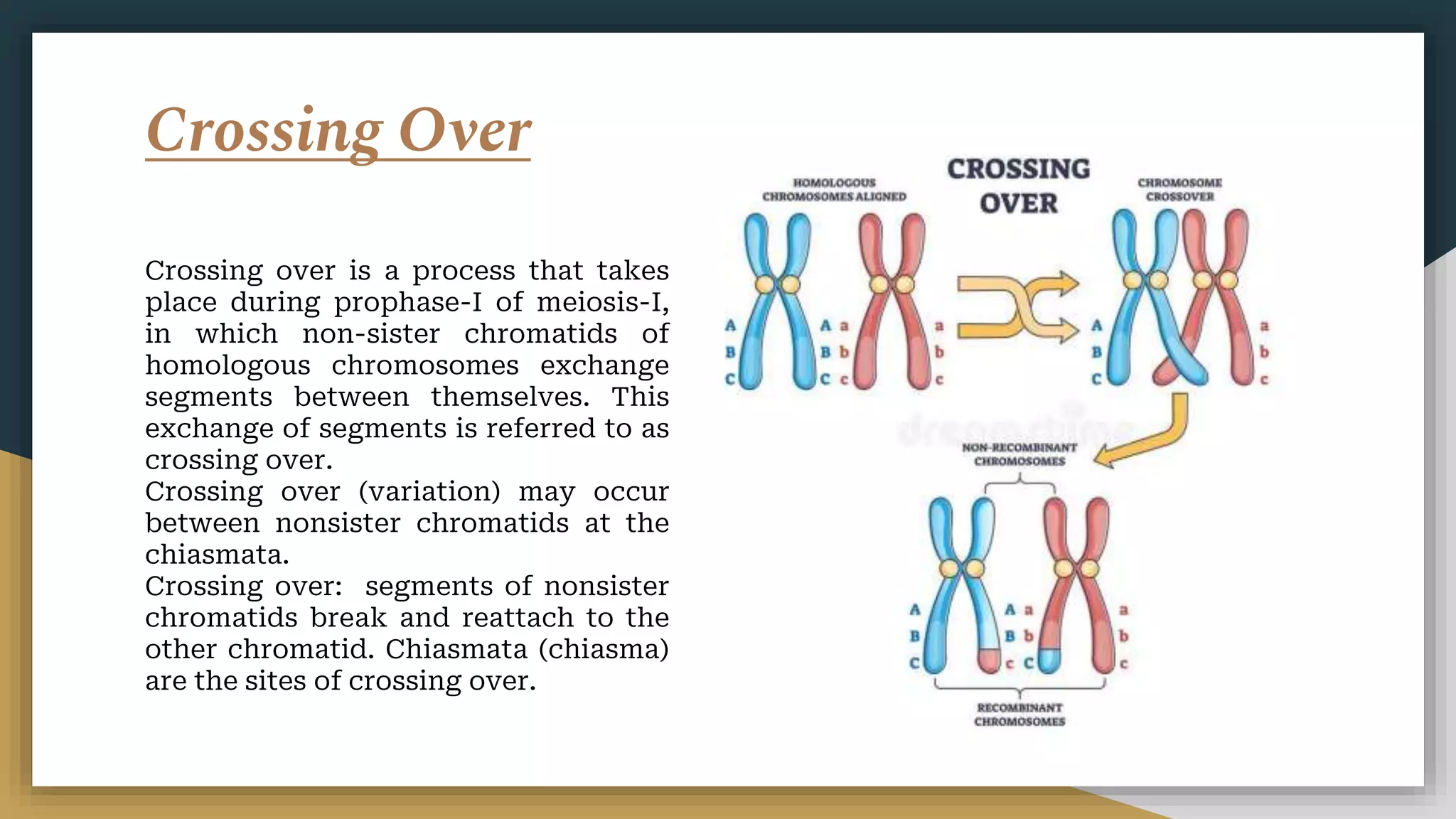 Meiosis.pptx