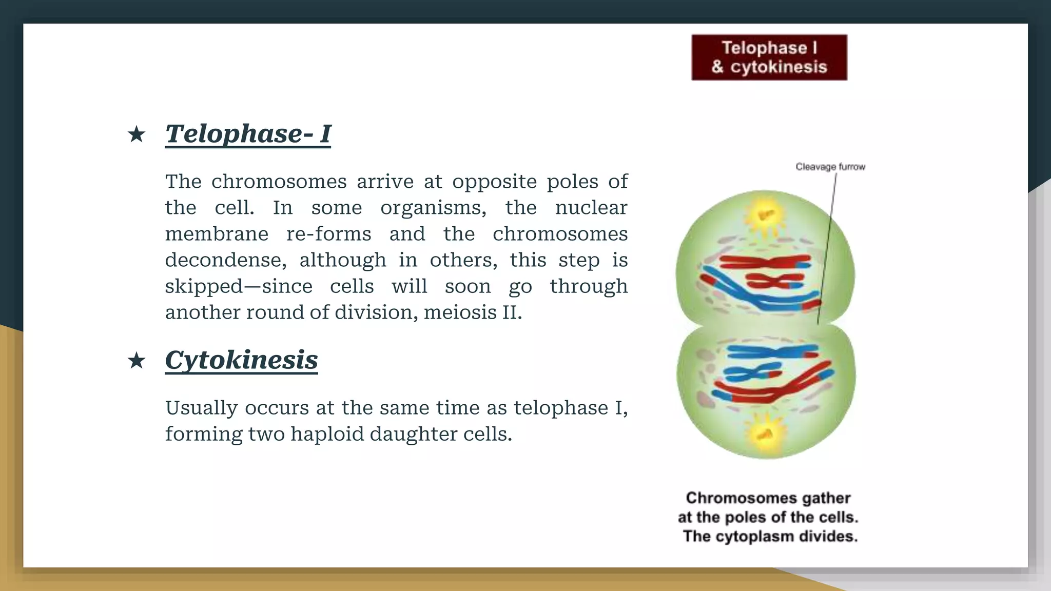 Meiosis.pptx