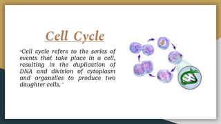 Meiosis.pptx | Biological Sciences | Science
