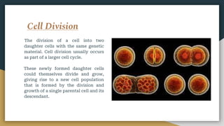 Meiosis.pptx | Biological Sciences | Science