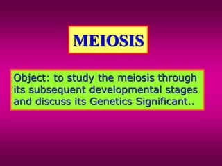 meiosis.ppt | Infertility | Reproductive Health