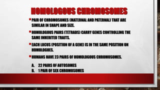 MEIOSIS.pptx