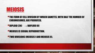 MEIOSIS.pptx