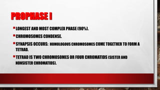 MEIOSIS.pptx