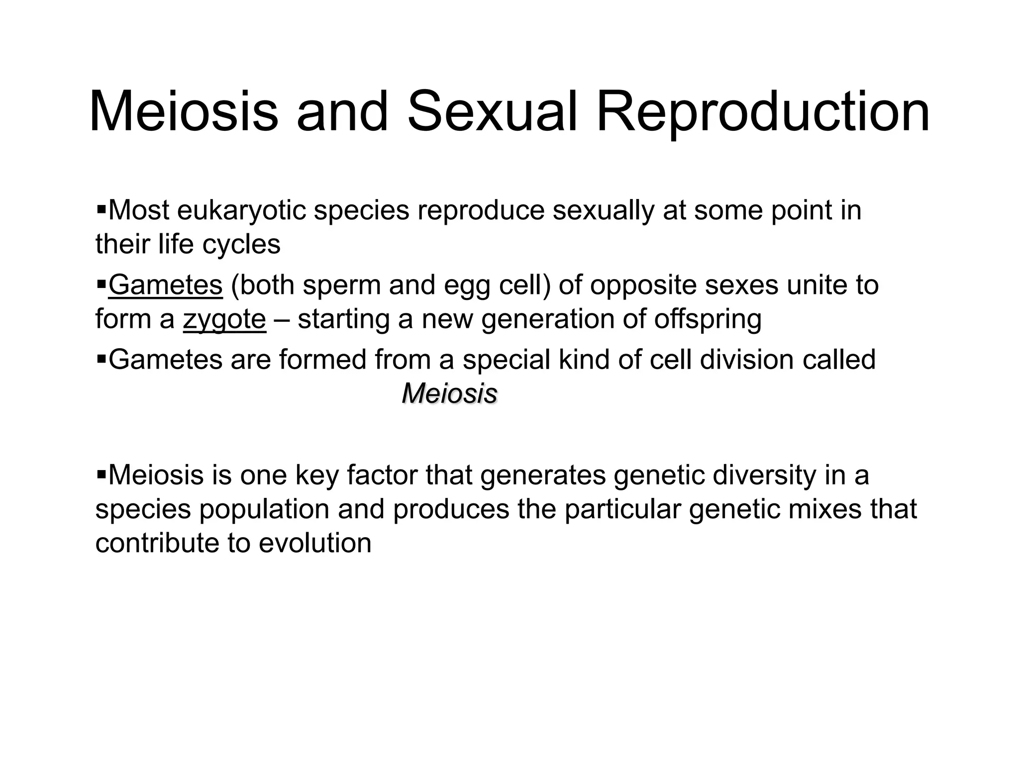 Meiosis.ppt