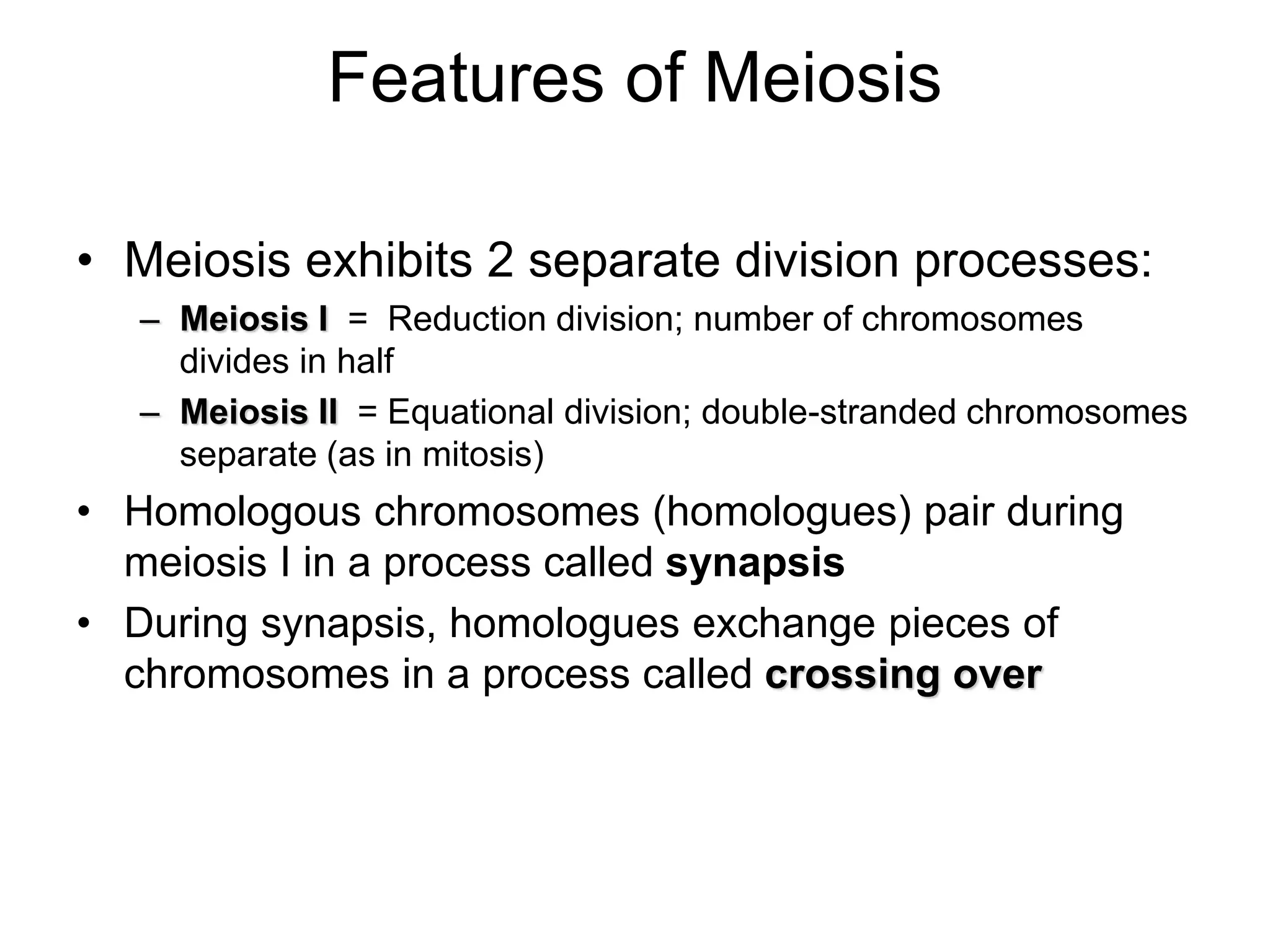 Meiosis.ppt