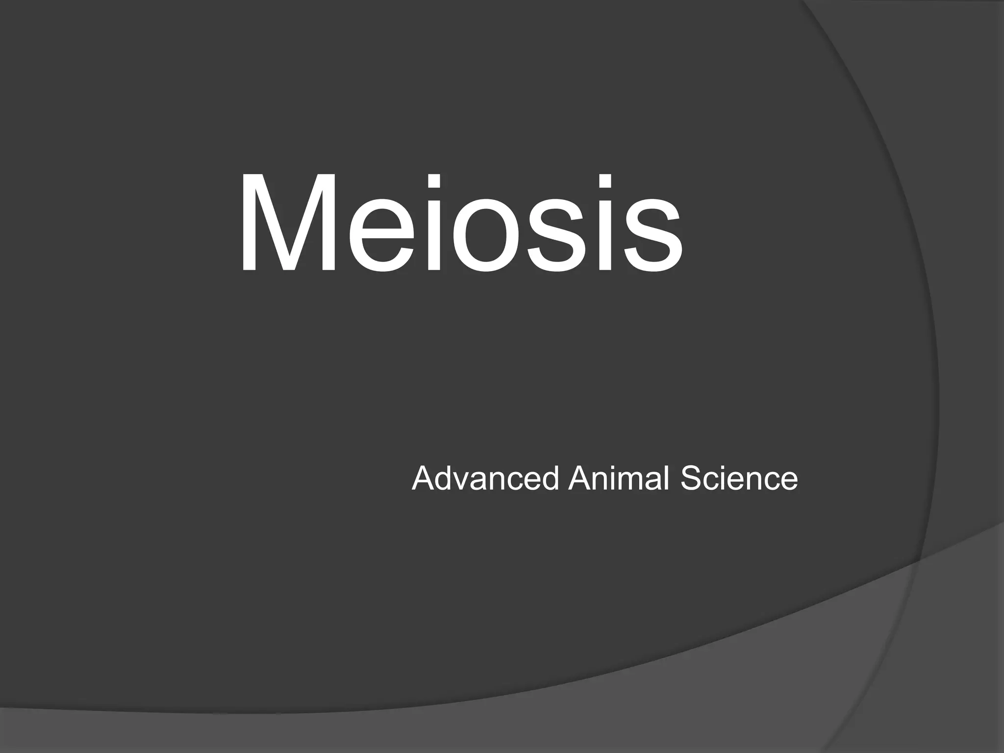 Meiosis.ppt