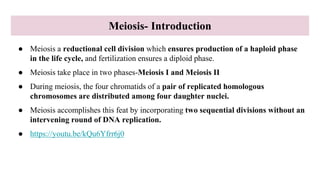 _Meiosis.pptx