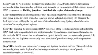 _Meiosis.pptx