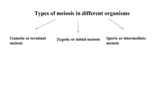 _Meiosis.pptx