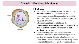 _Meiosis.pptx | Infertility | Reproductive Health