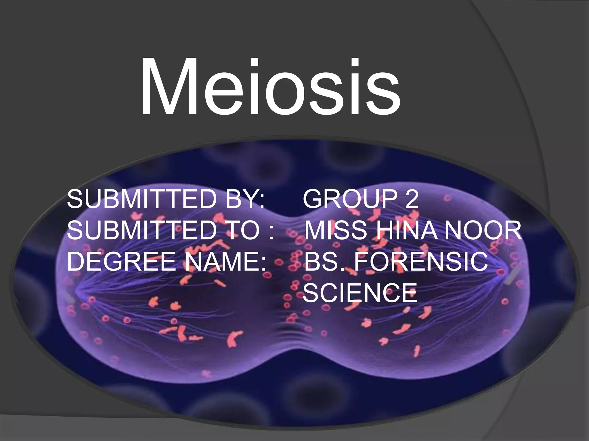 Meiosis.ppt | Infertility | Reproductive Health