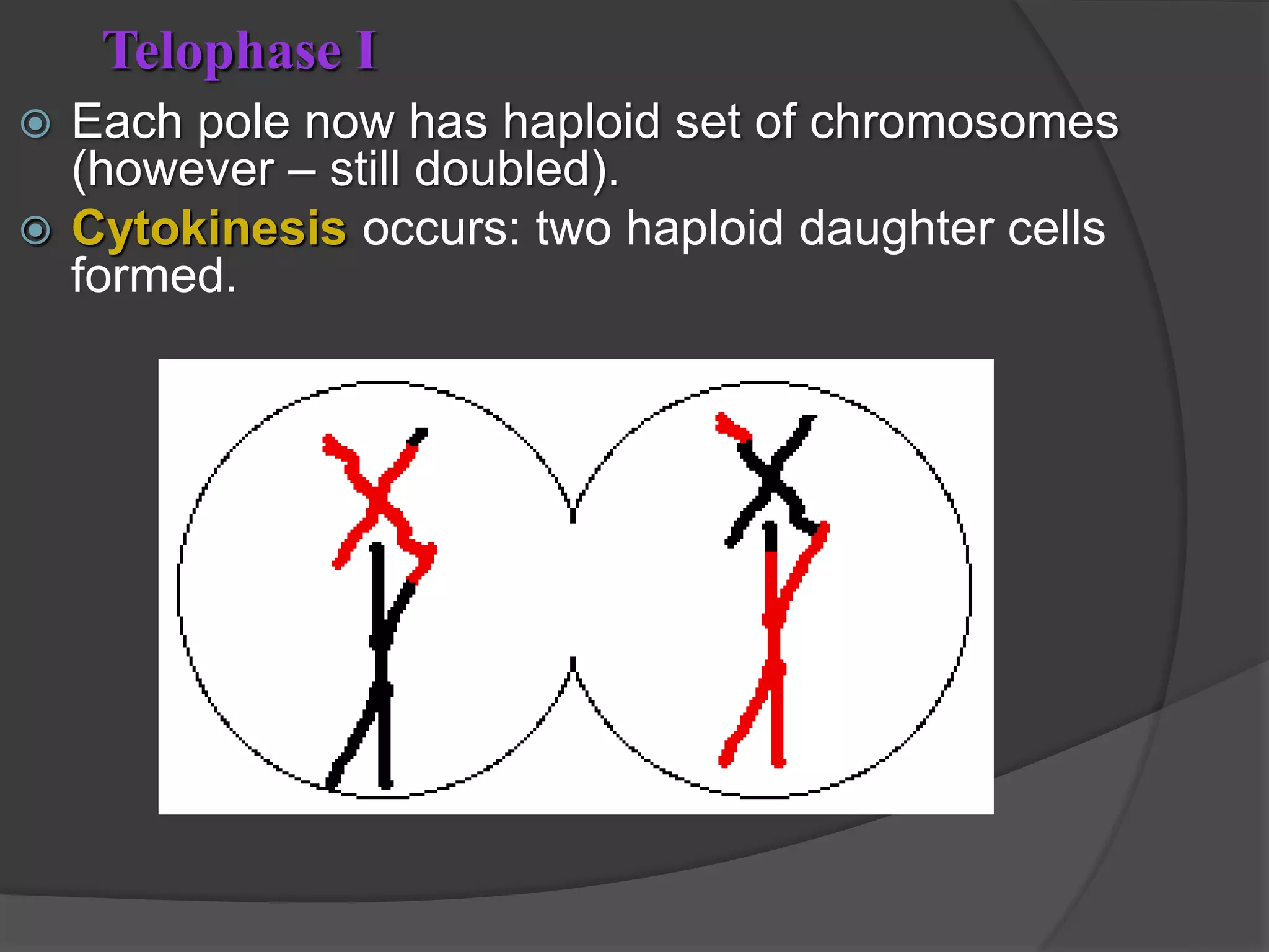 Meiosis.ppt | Infertility | Reproductive Health