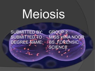 Meiosis.ppt