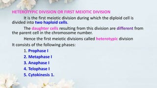 MEIOSIS.pptx
