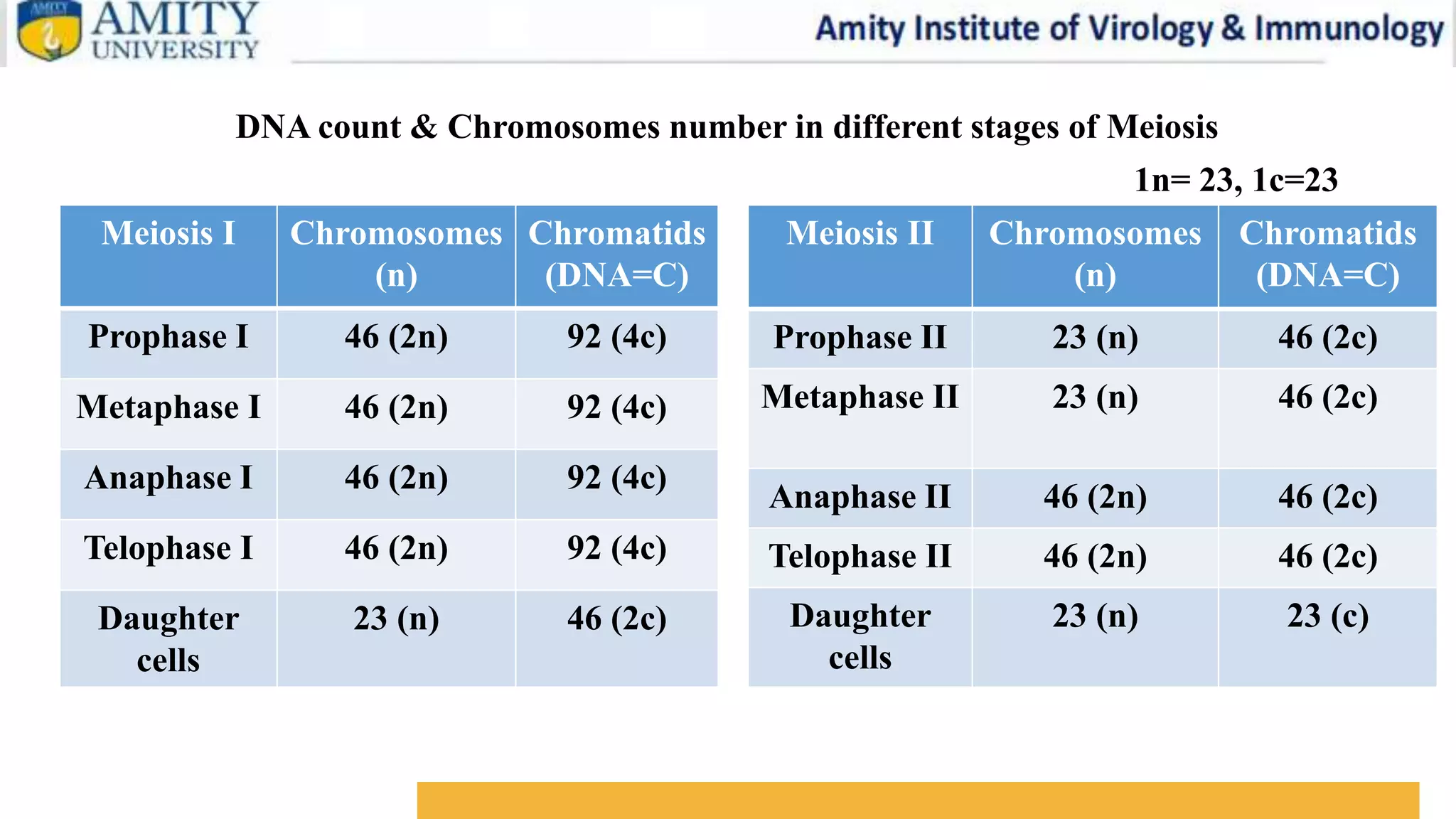 MEIOSIS.pptx