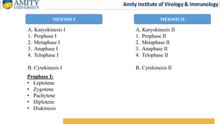 MEIOSIS.pptx