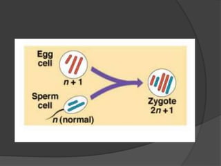 Meiosis.ppt